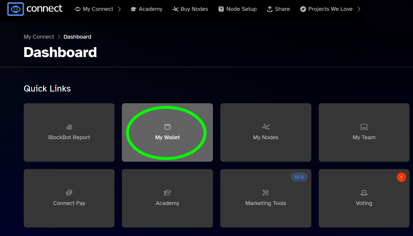 How Do I Send And Receive Funds With My Connect Wallet? – Connect